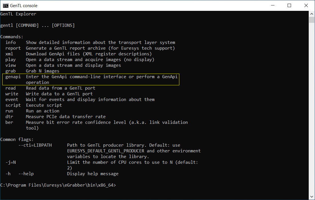 Euresys GenApi Extensions